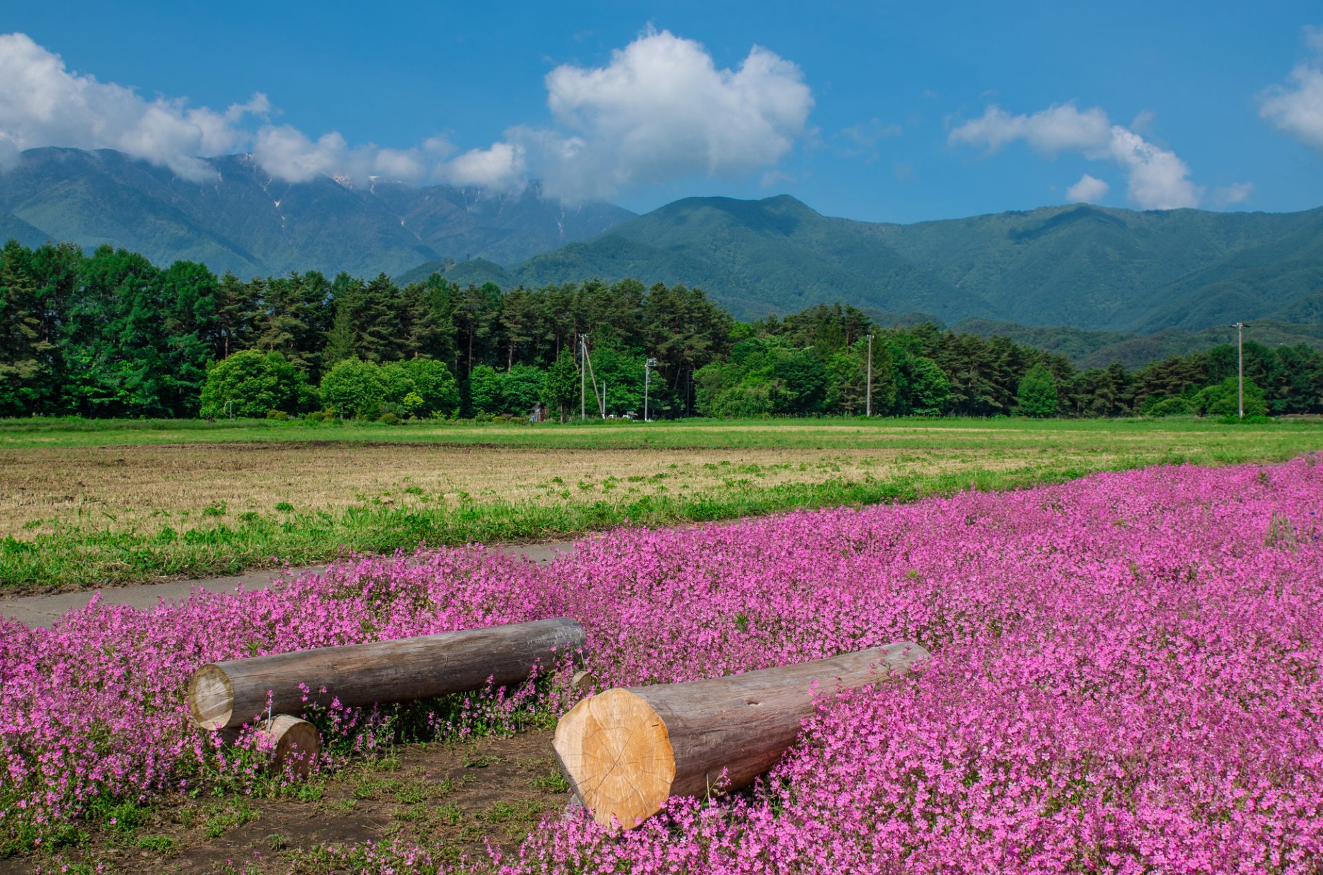 長野県が移住におすすめな理由｜人気の地域9選を解説