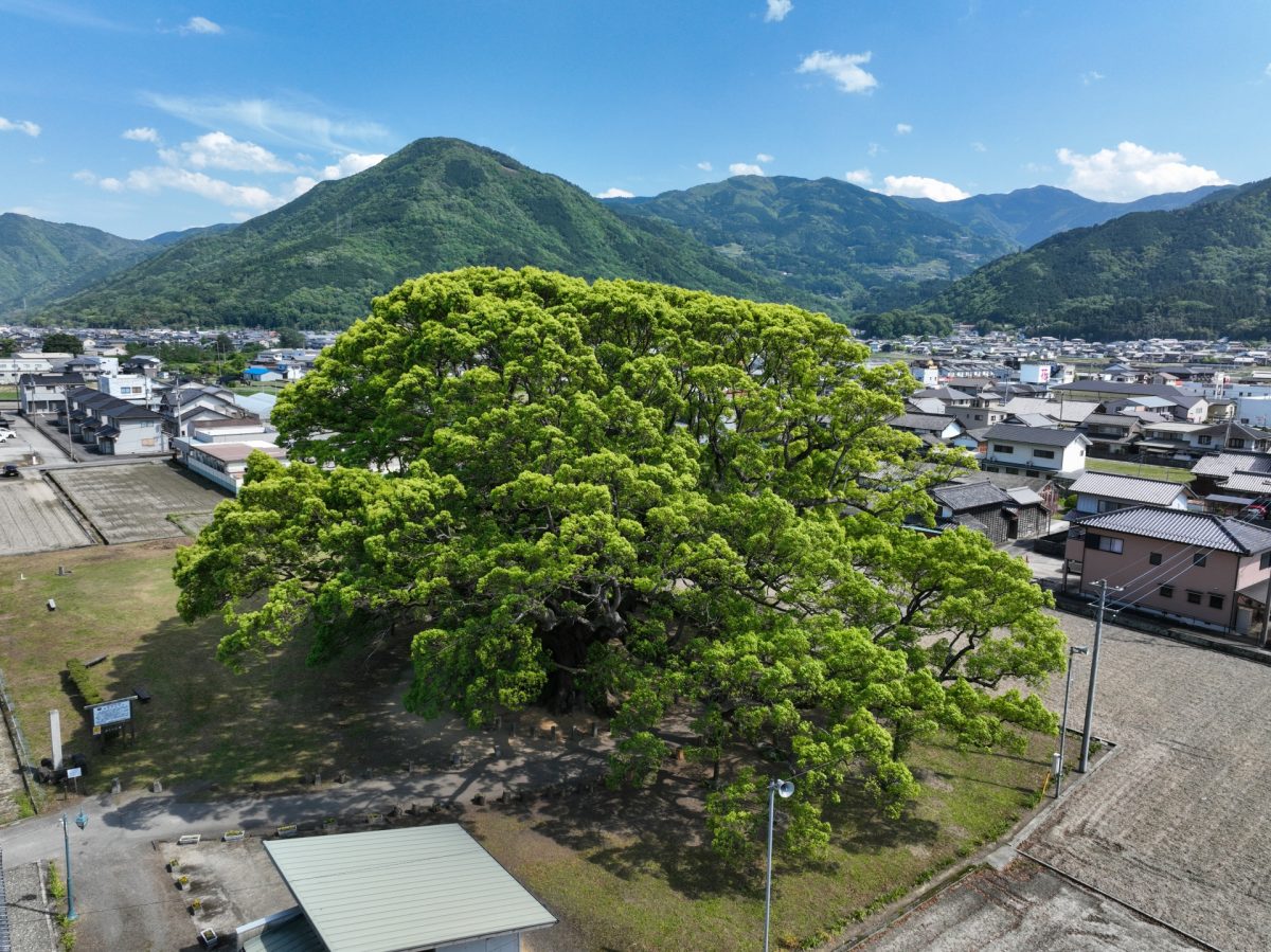 自治体｜まちの基本情報や移住支援策を紹介｜二拠点・移住ライフ大学
